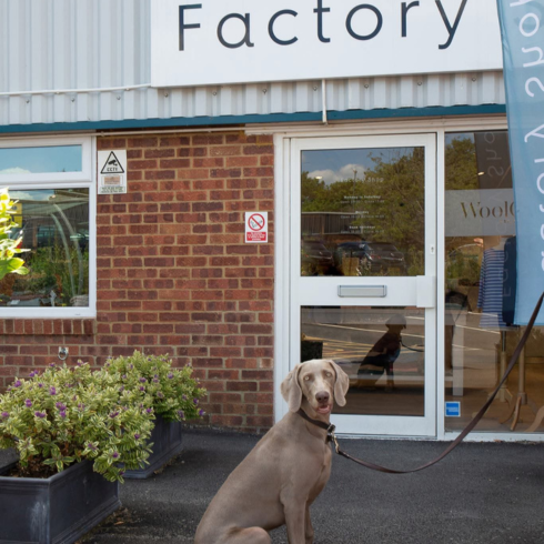 Woolovers Shop - Sherborne