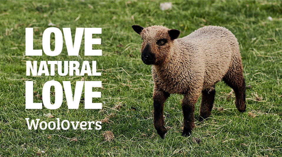 Our History | WoolOvers