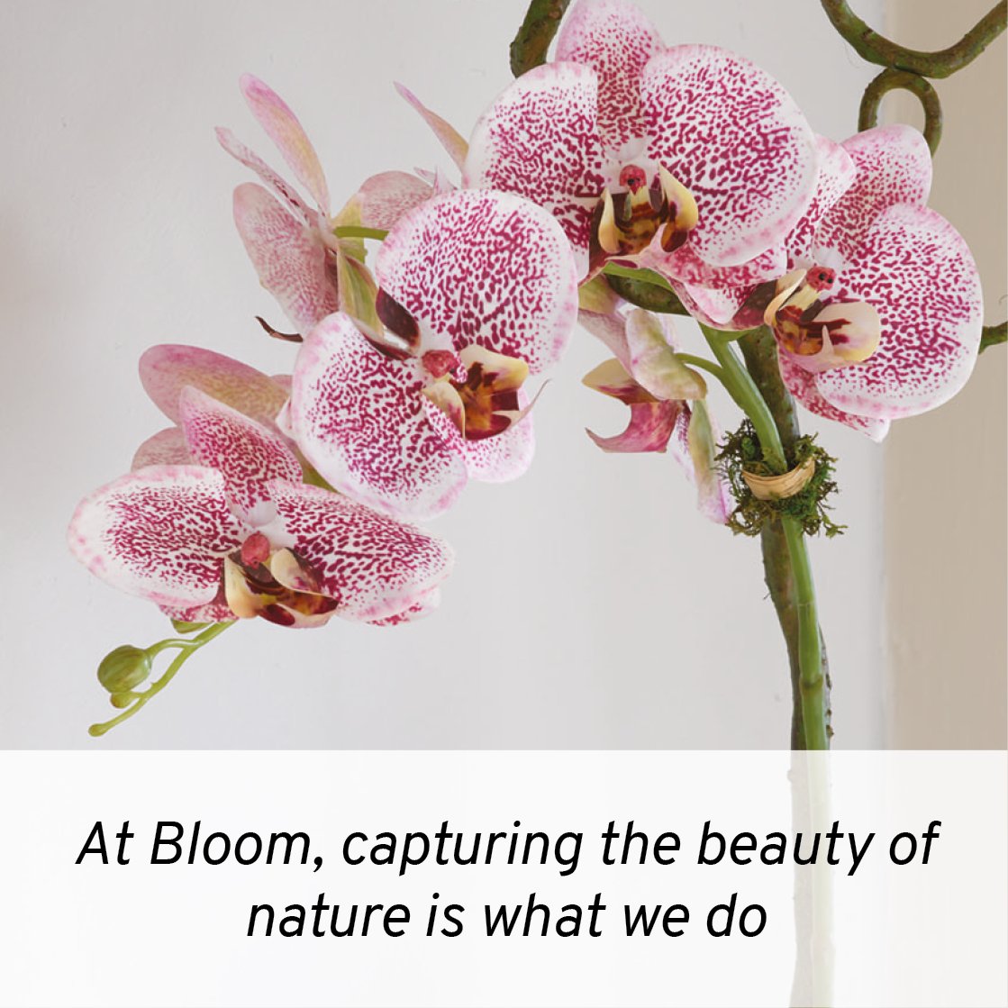 Bloom | Hand Crafted Silk Flowers
